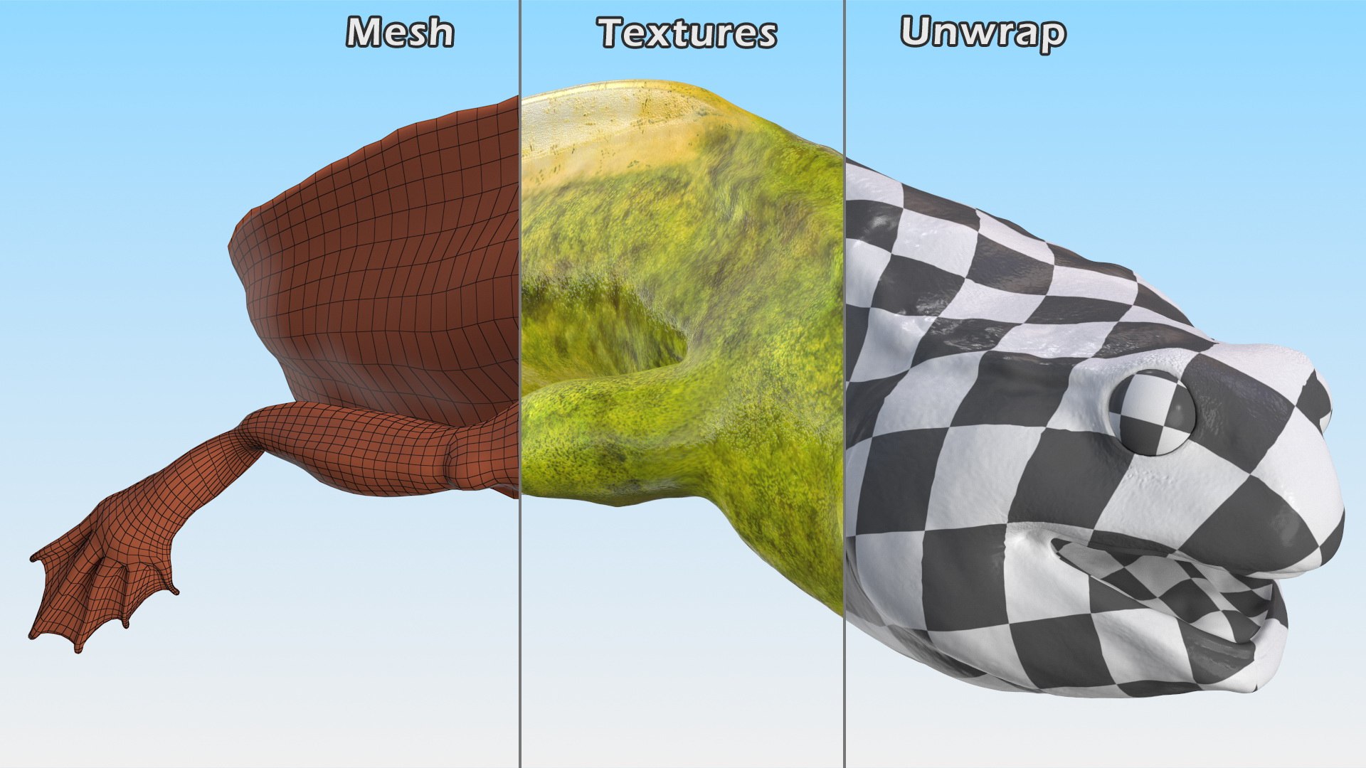 3D Tadpole Late Stage - TurboSquid 1719505