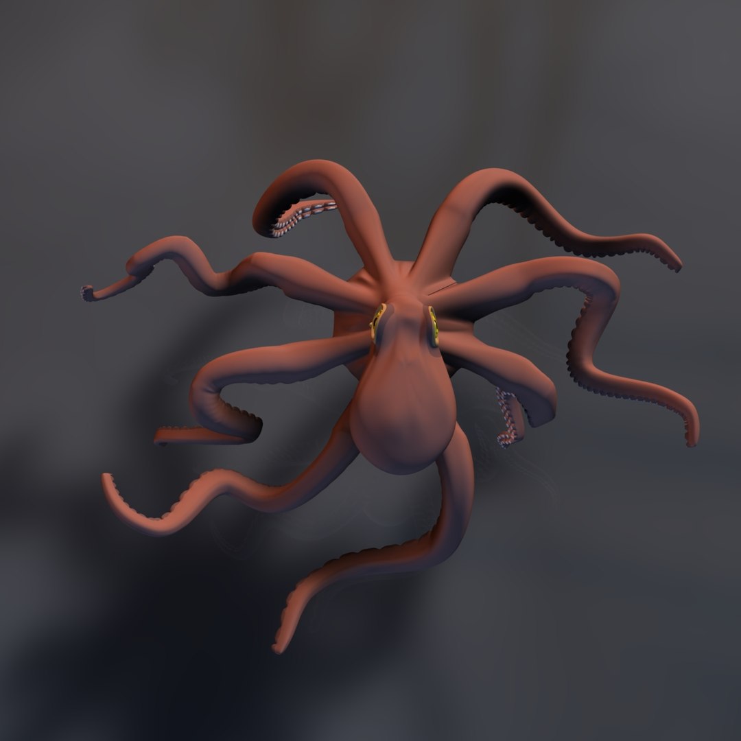 3d model octopus giant pacific
