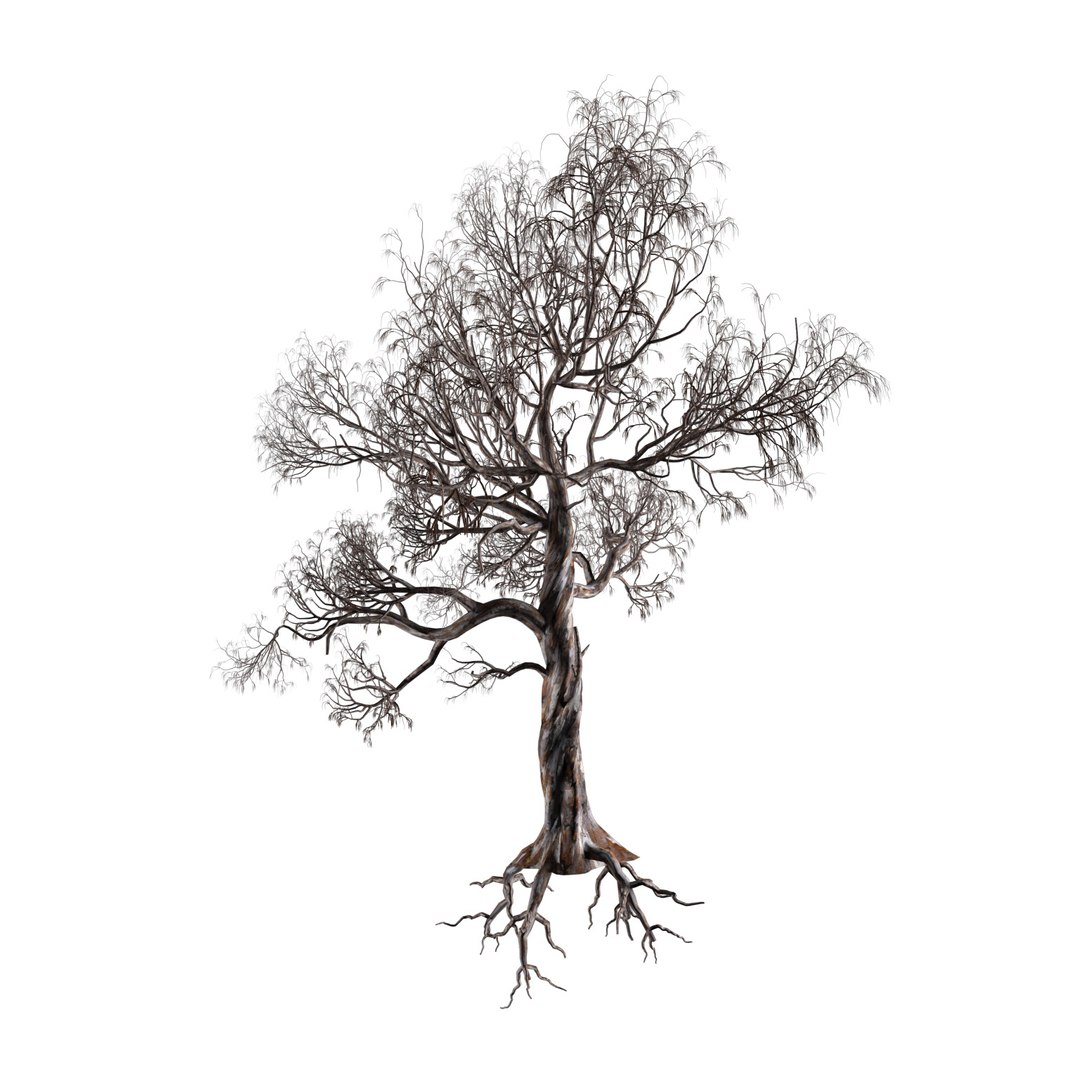 Realistic Gum Trees 3D Pack with Seasonal Leaf Variations 3D model ...