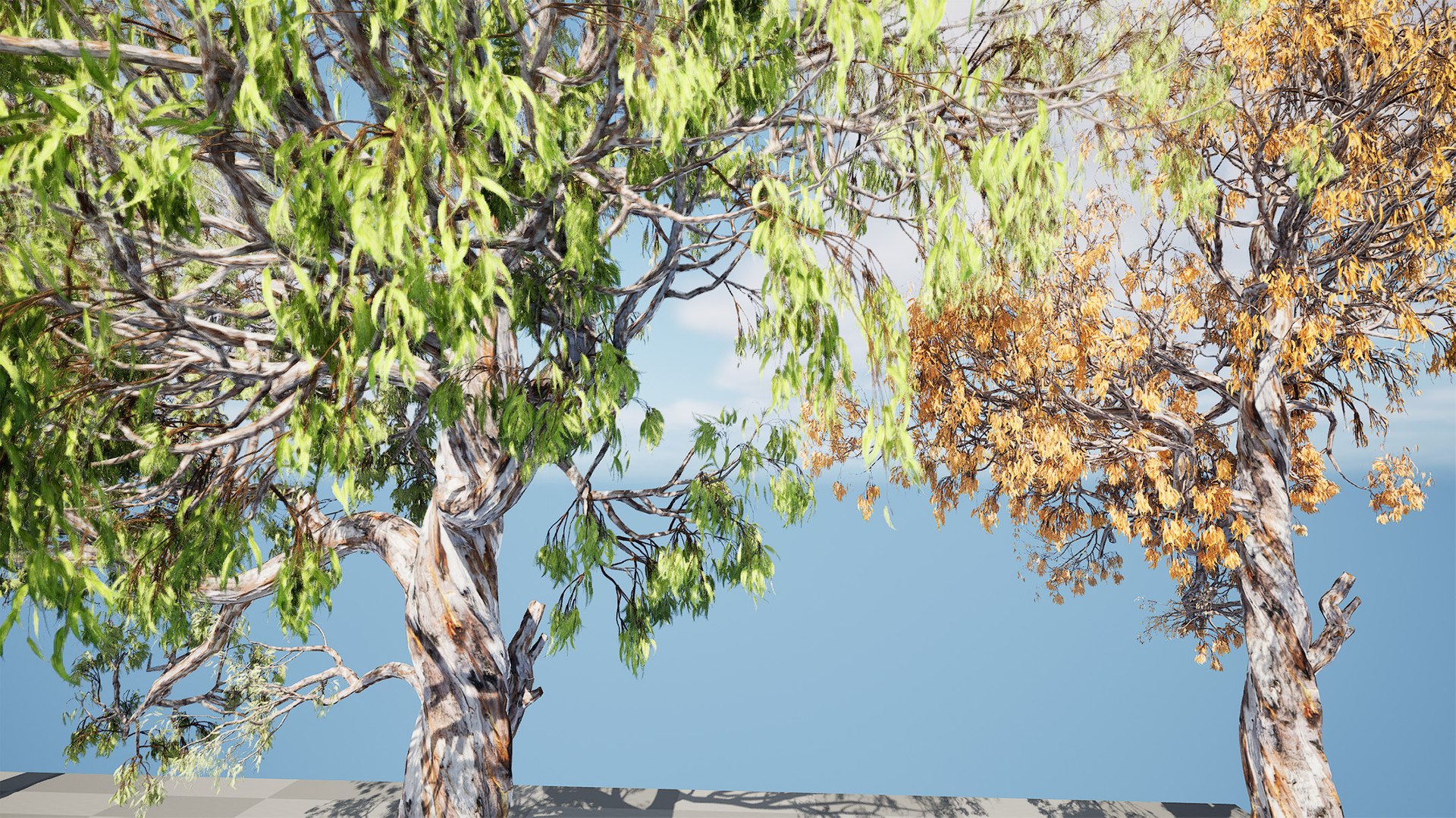 Realistic Gum Trees 3D Pack with Seasonal Leaf Variations 3D model ...