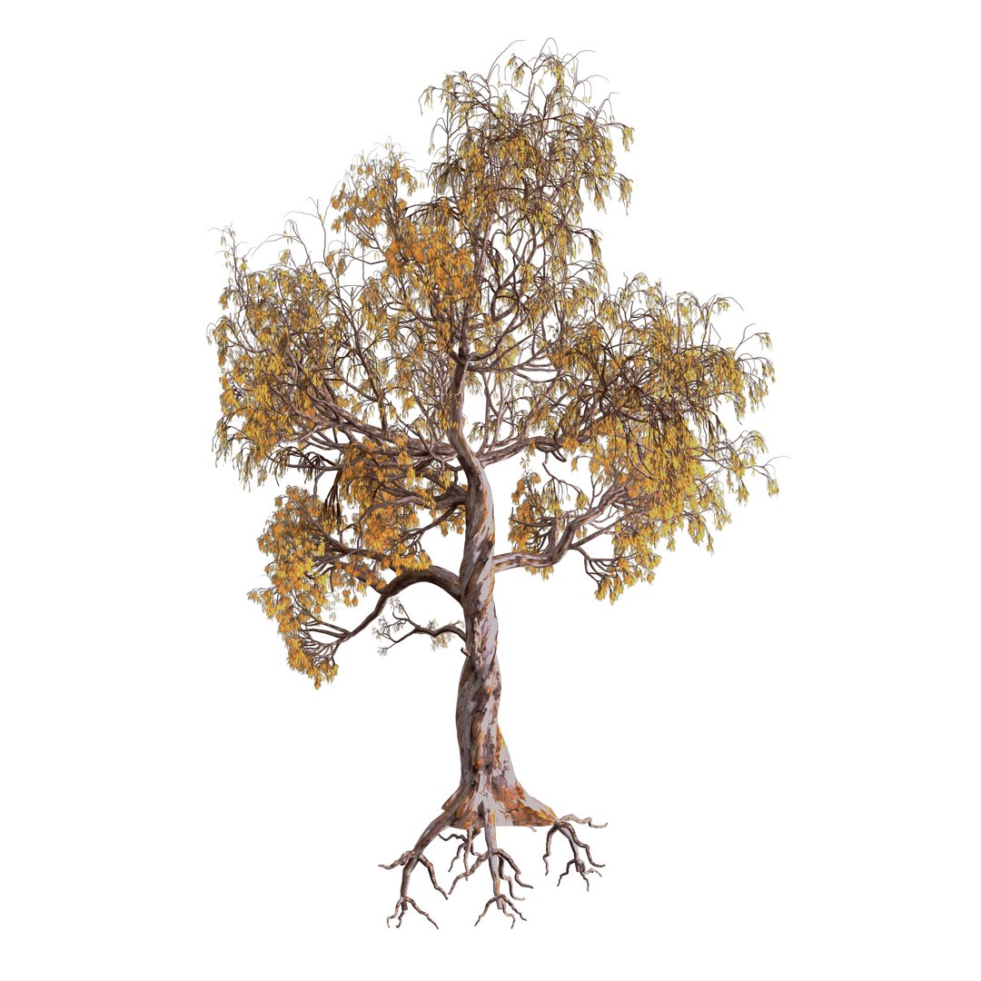 Realistic Gum Trees 3D Pack with Seasonal Leaf Variations 3D model ...