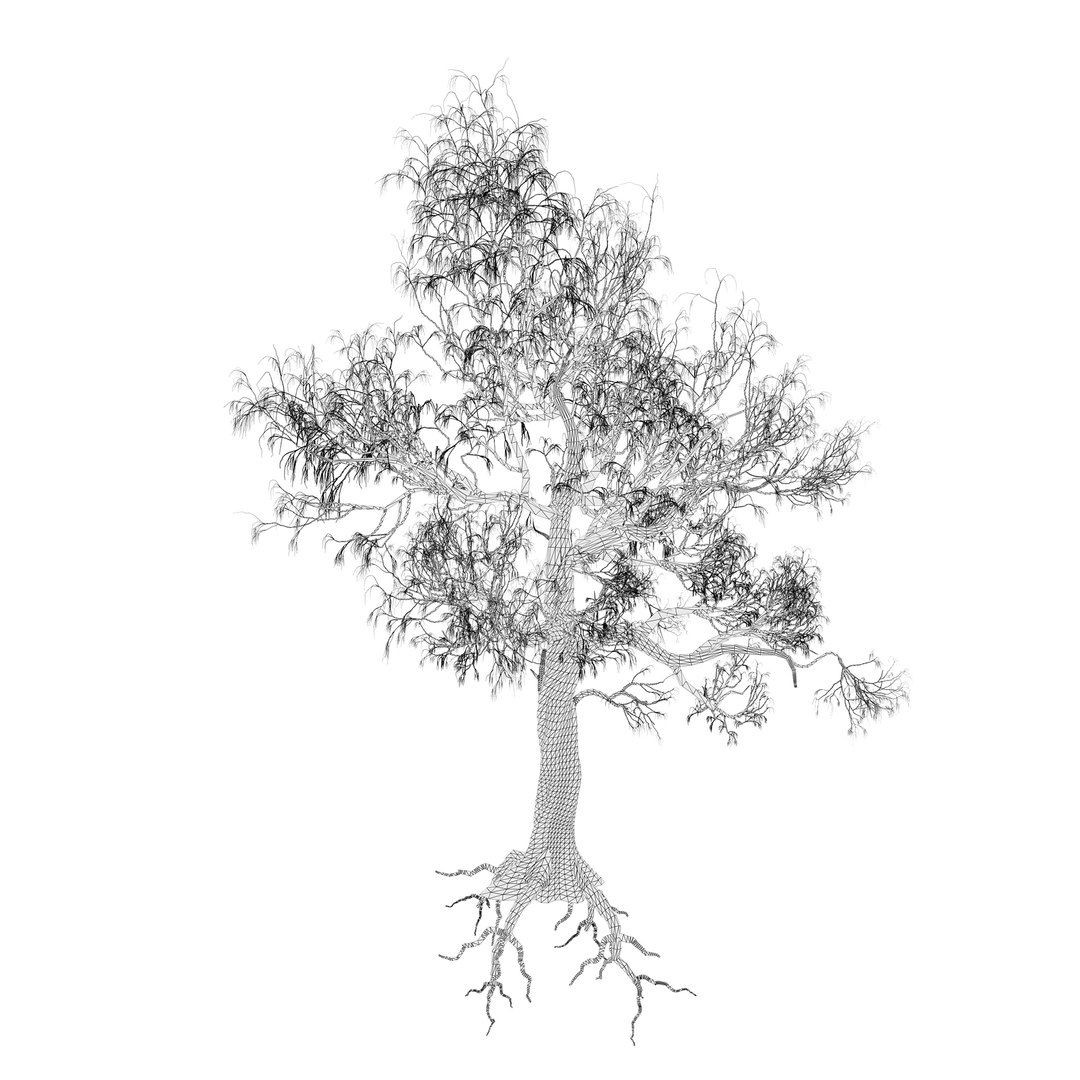 Realistic Gum Trees 3D Pack with Seasonal Leaf Variations 3D model ...