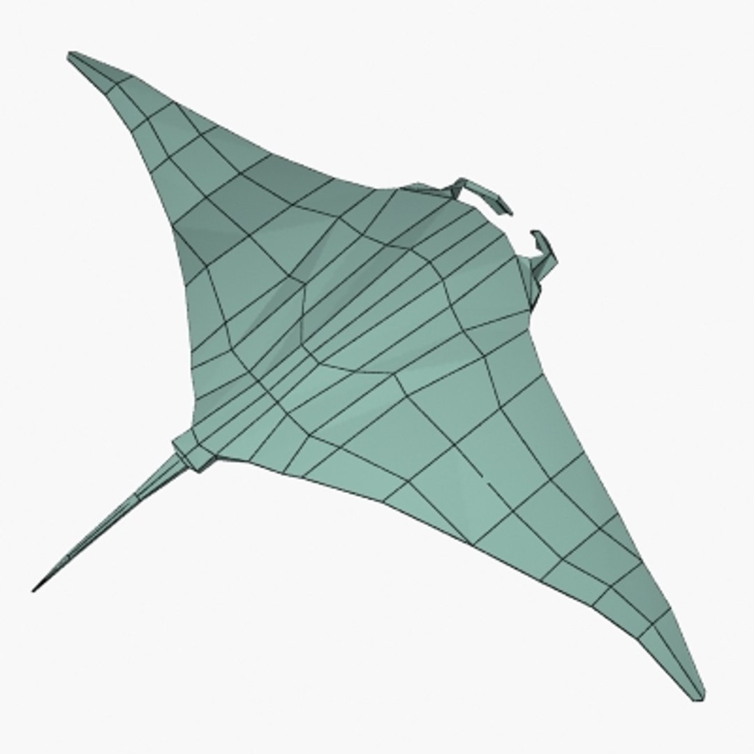Manta Rays 3d Model