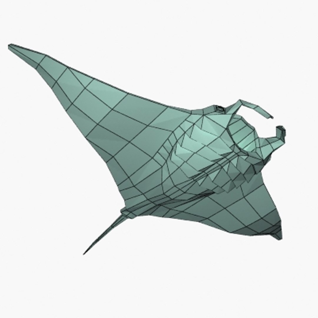 Manta Rays 3d Model