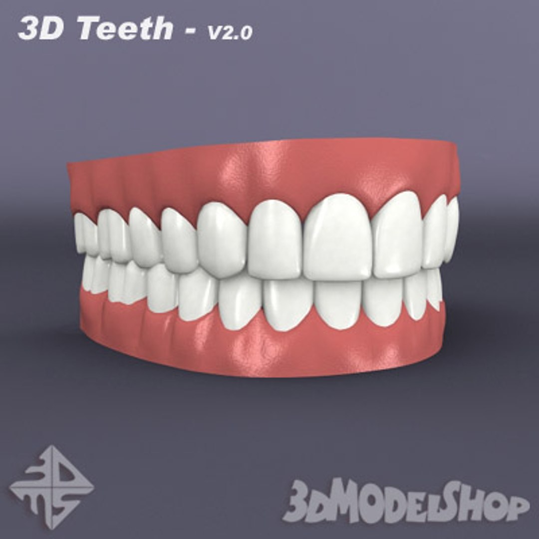 Teeth - 3d Model