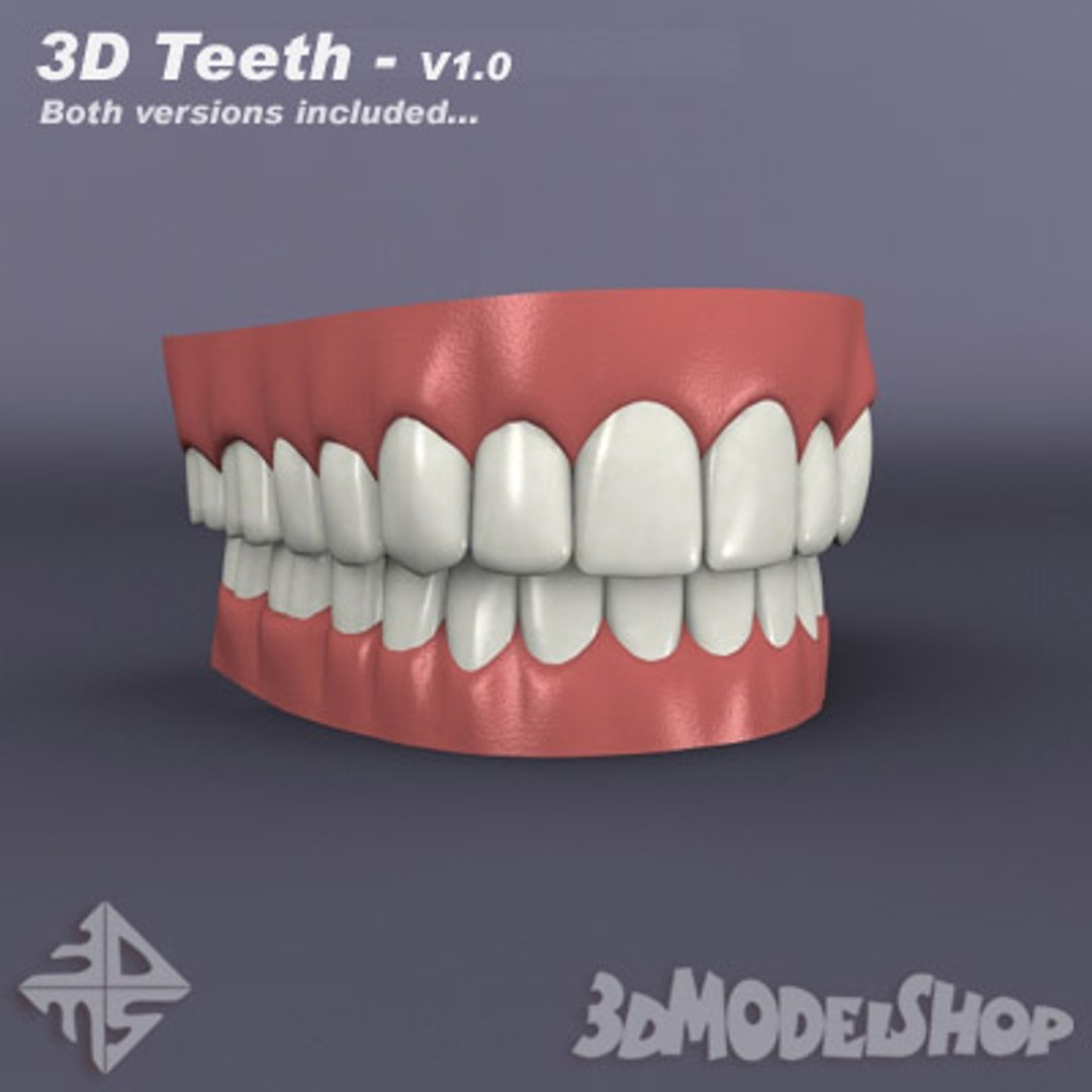 Teeth - 3d Model