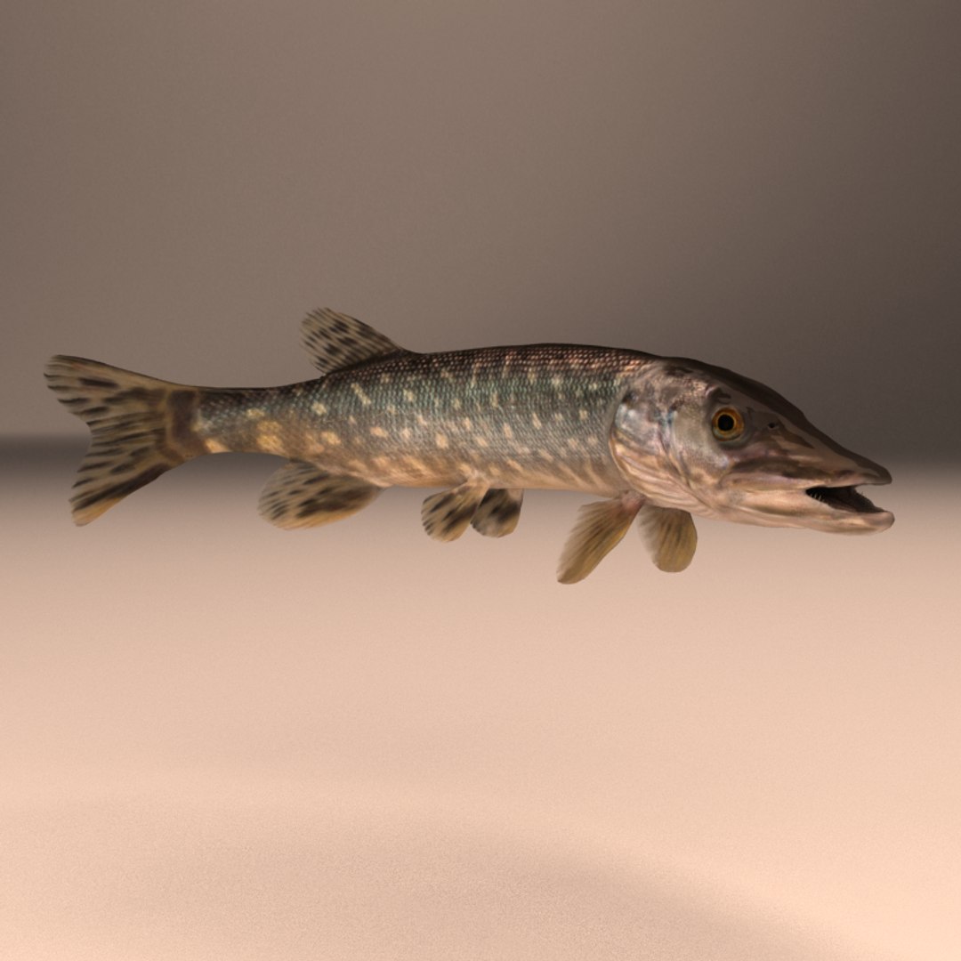 Pike Max
