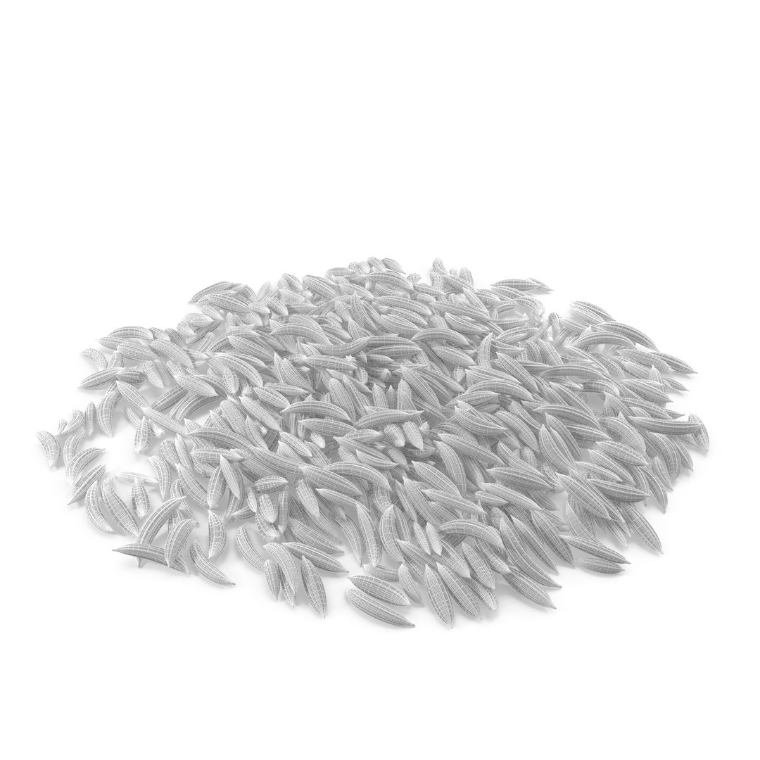 Fennel Seeds V1 3D model - TurboSquid 2058875