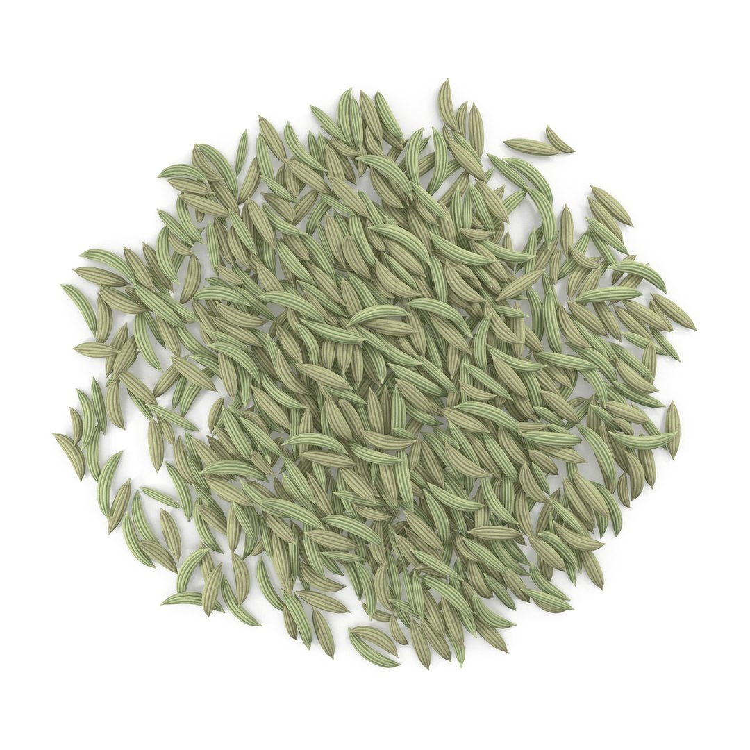 Fennel Seeds V1 3D model - TurboSquid 2058875