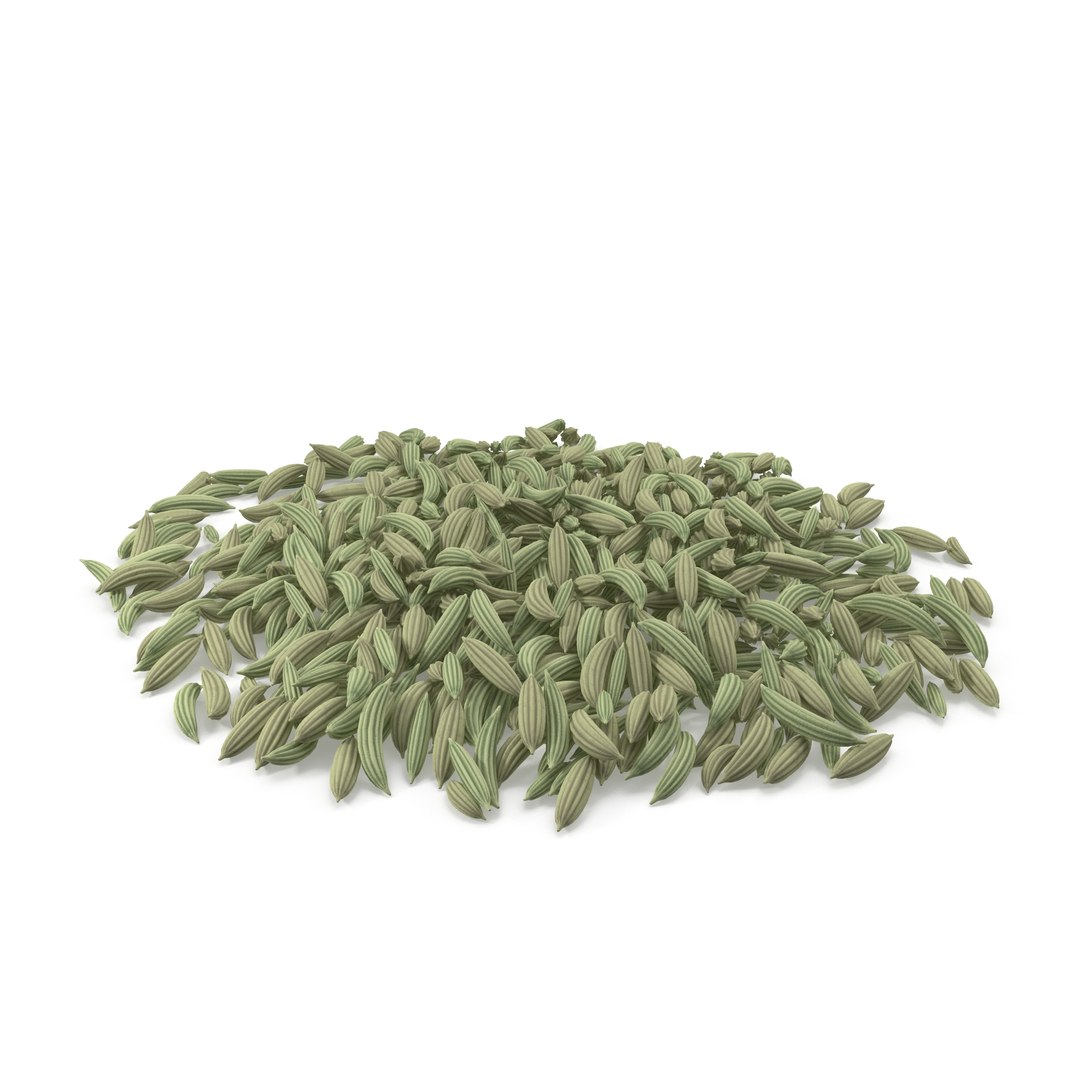 Fennel Seeds V1 3D model - TurboSquid 2058875