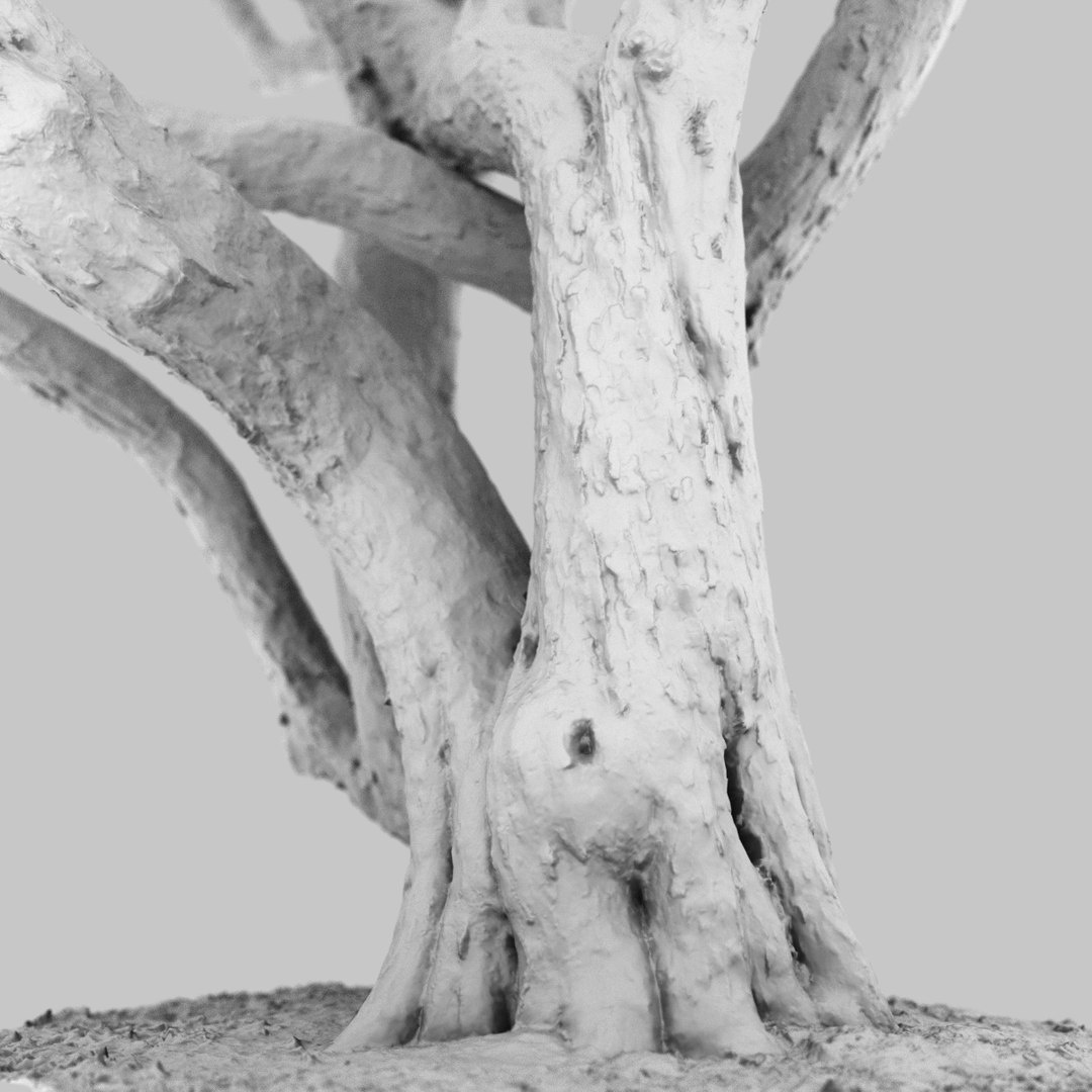 3d Environment Asset Model