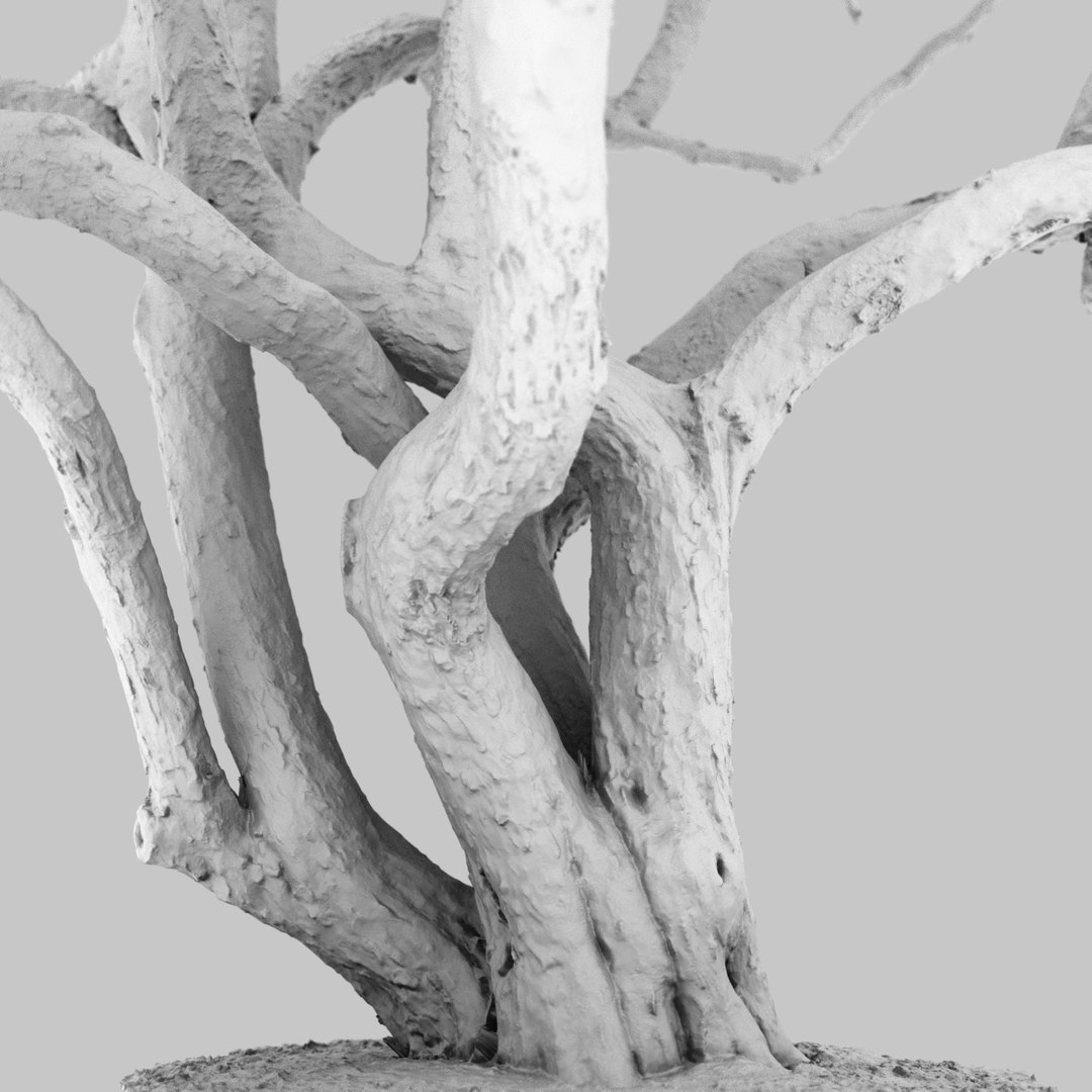 3d Environment Asset Model