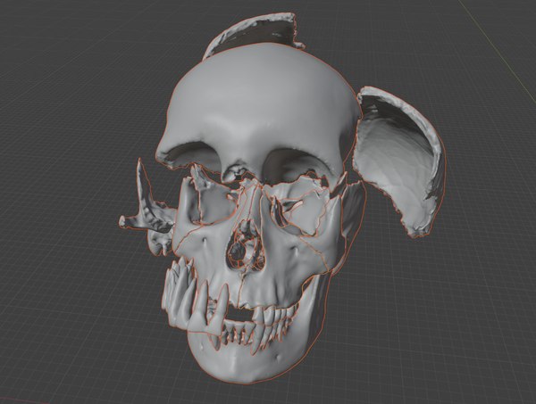 modelo 3d ANATOMIA DE LAS PARTES DEL CRÁNEO HUMANO - TurboSquid 2278309
