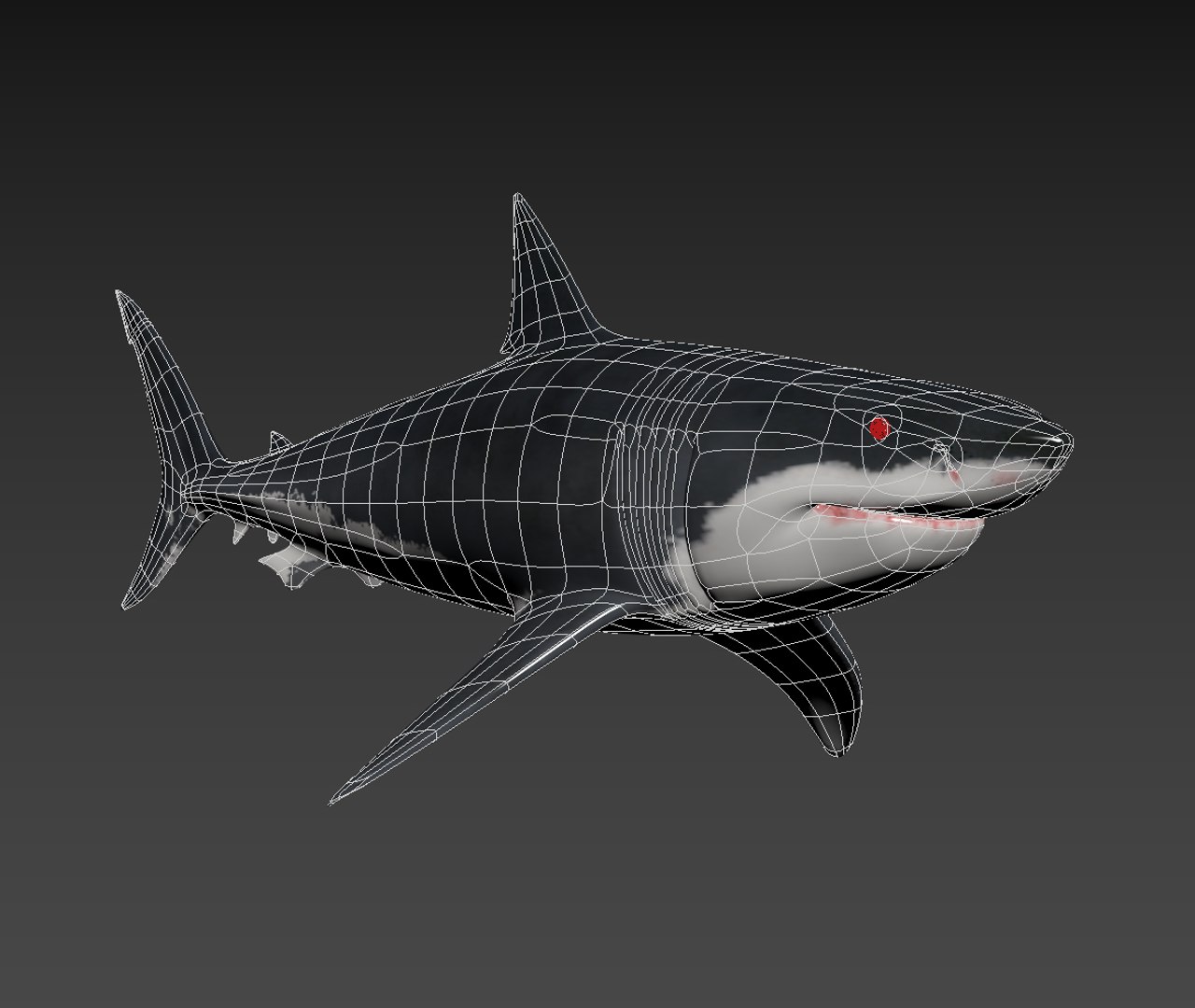 3D Realistic Great White Shark - TurboSquid 1392169