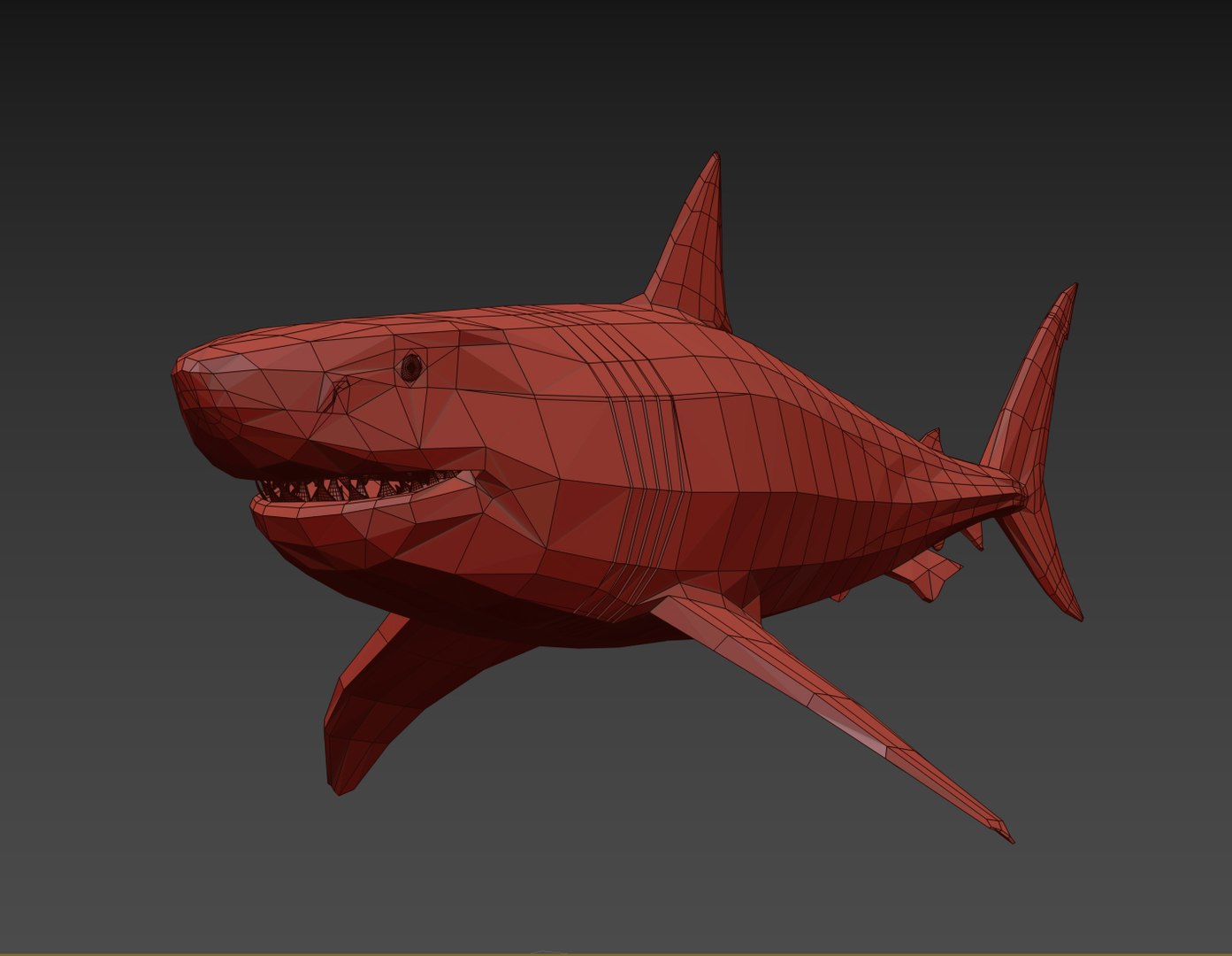 3D Realistic Great White Shark - TurboSquid 1392169