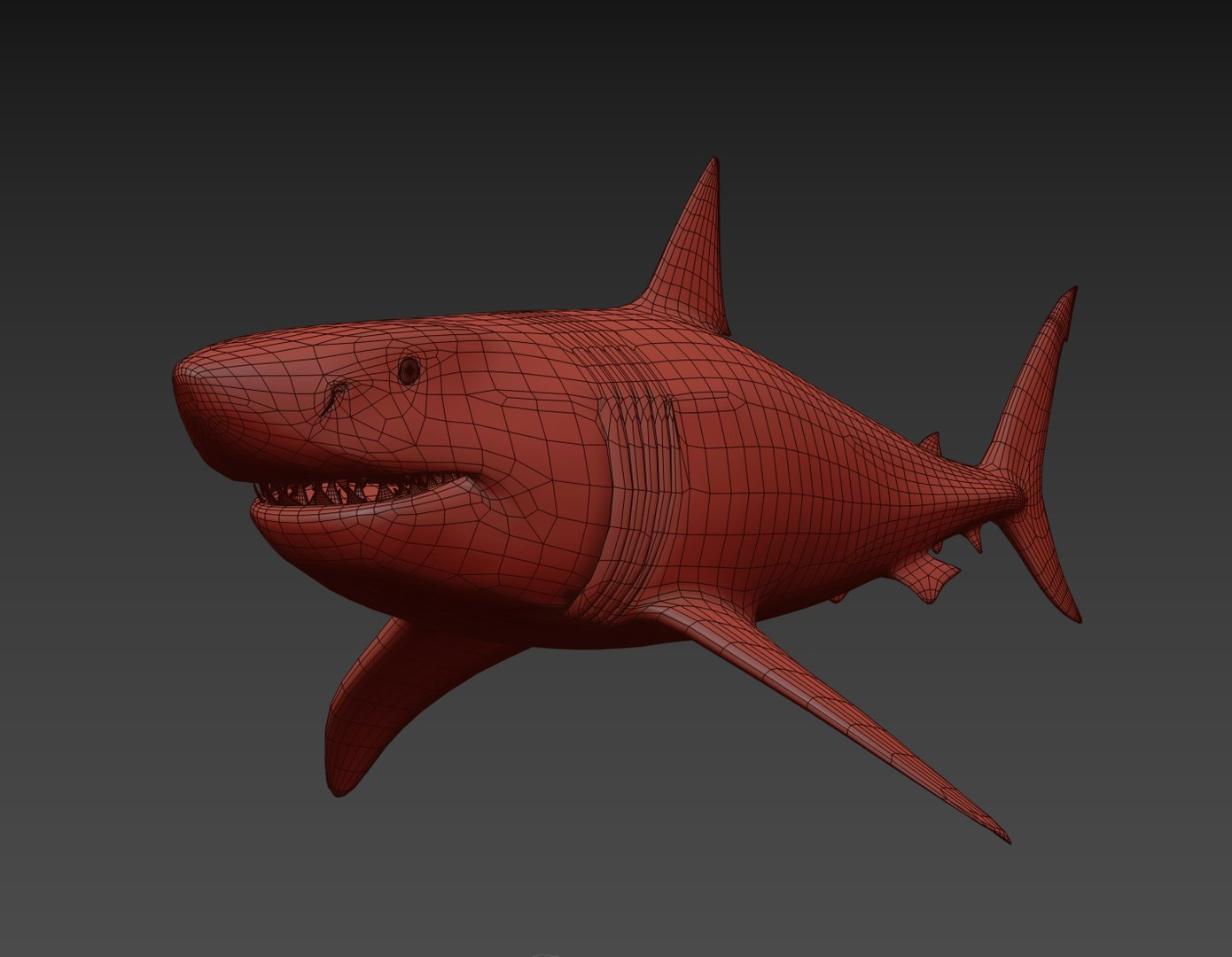 3D Realistic Great White Shark - TurboSquid 1392169