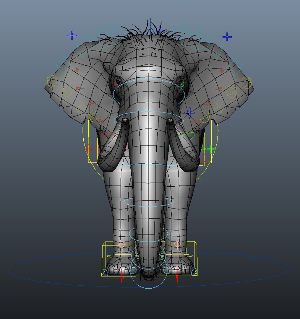 Free Elephant Rig 3D - TurboSquid 1383252