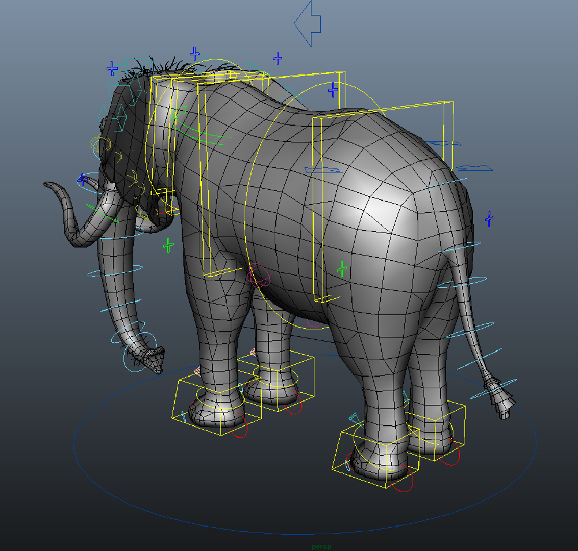 Free elephant rig 3D - TurboSquid 1383252