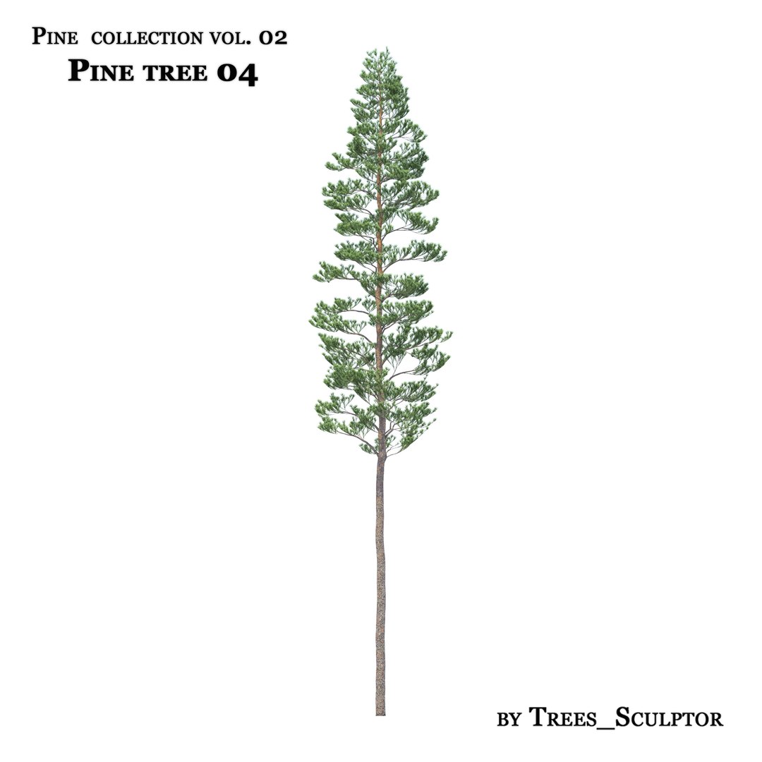 Pine Tree 3d Max