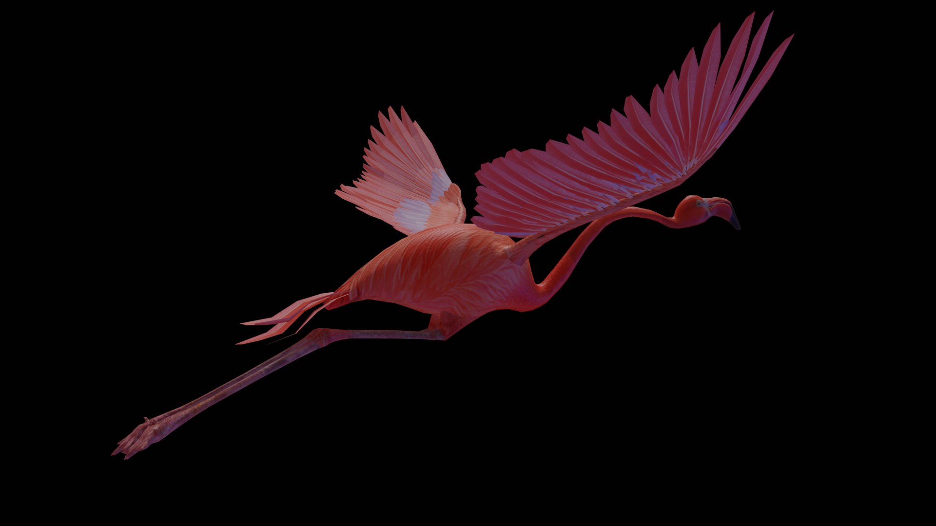 Flamingo Flying 3D Model - TurboSquid 1591455