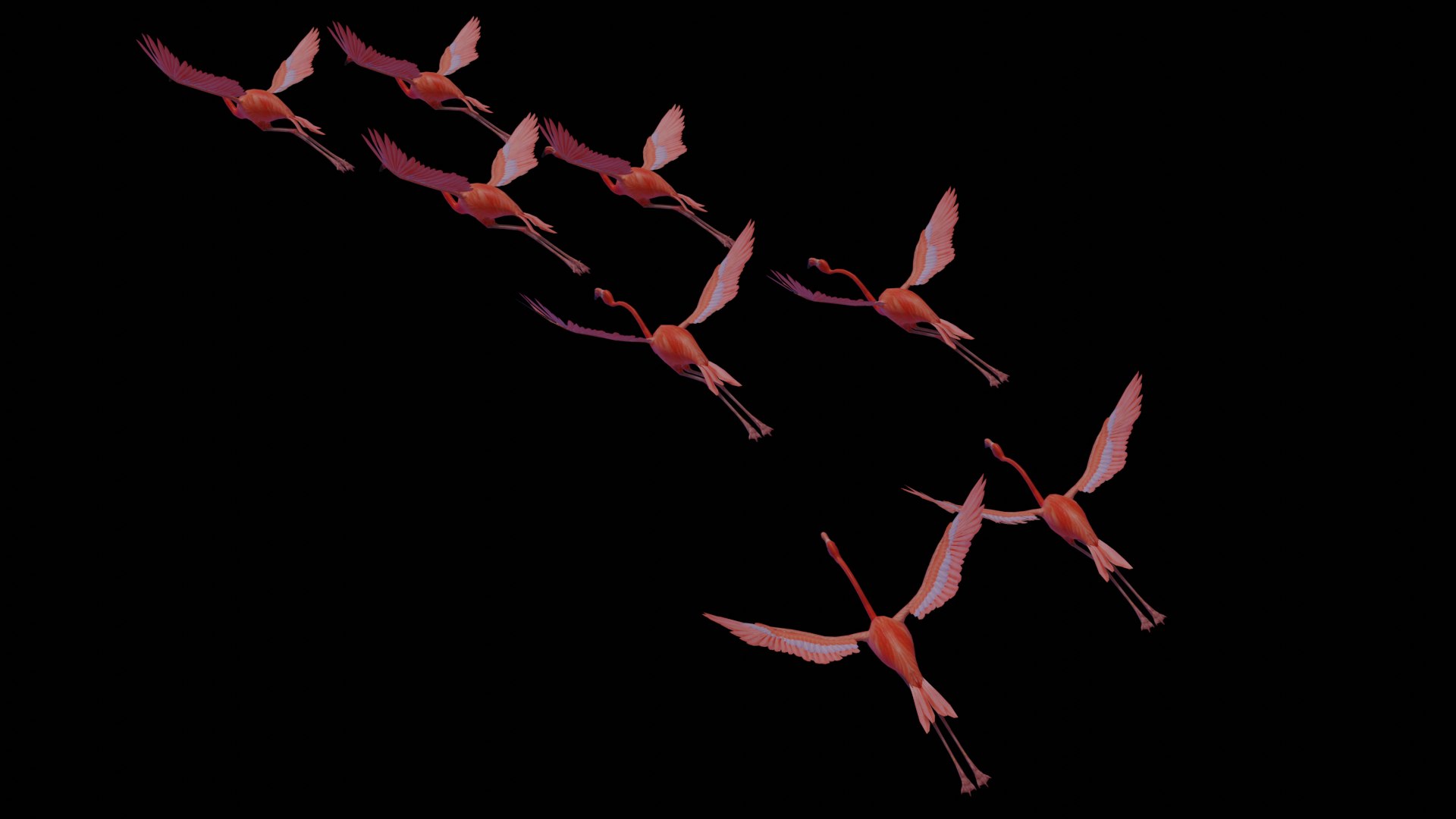 Flamingo Flying 3D Model - TurboSquid 1591455