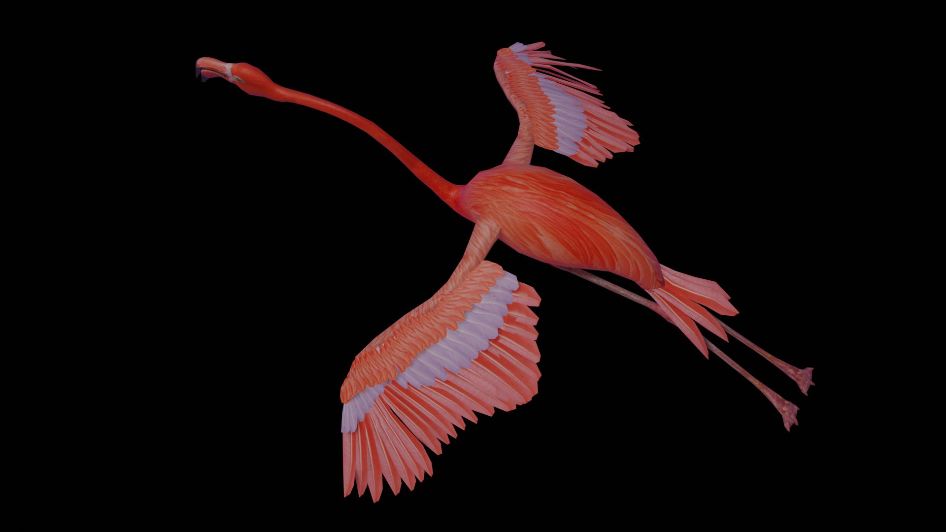 Flamingo Flying 3D Model - TurboSquid 1591455