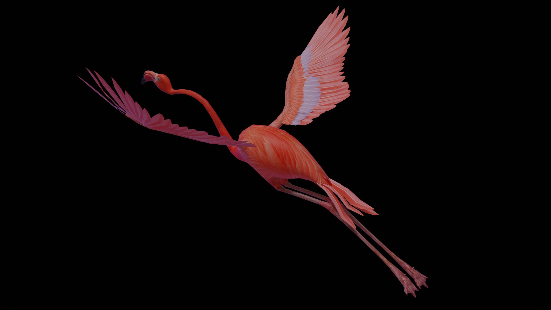 Flamingo Flying 3D Model - TurboSquid 1591455