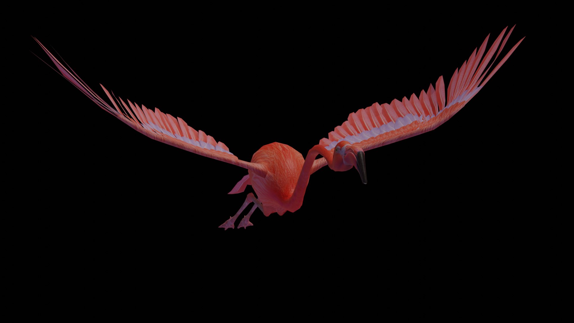 Flamingo Flying 3D Model - TurboSquid 1591455
