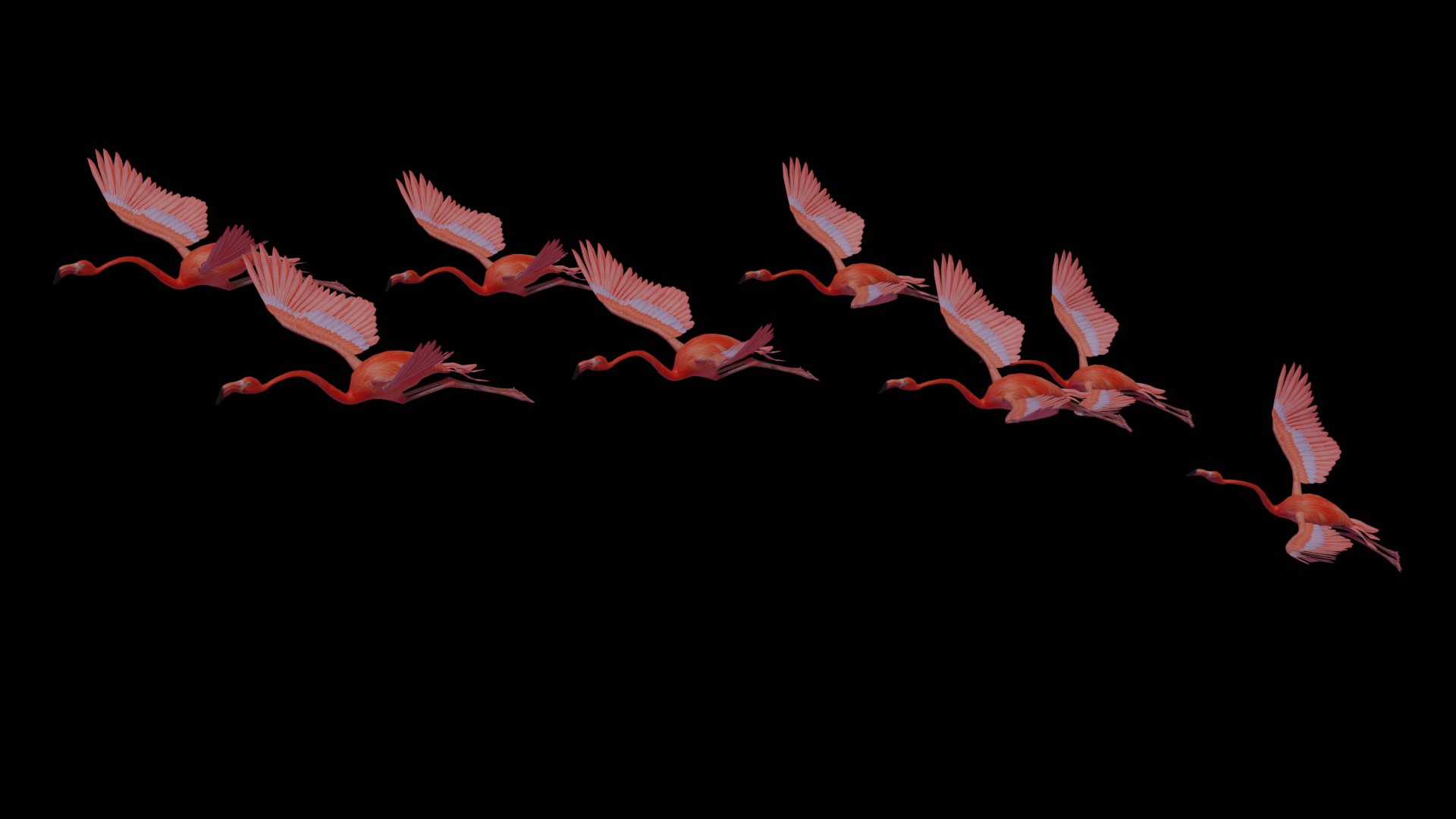 Flamingo Flying 3D Model - TurboSquid 1591455