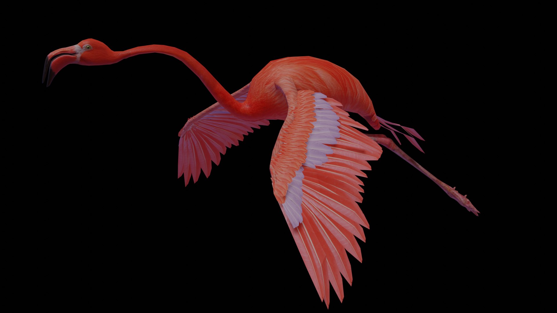 Flamingo Flying 3D Model - TurboSquid 1591455