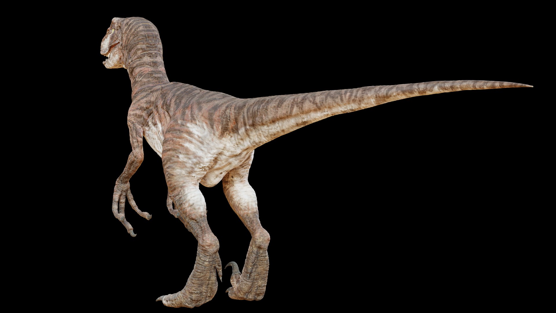 Realistic Raptor 3D Model - TurboSquid 1245365