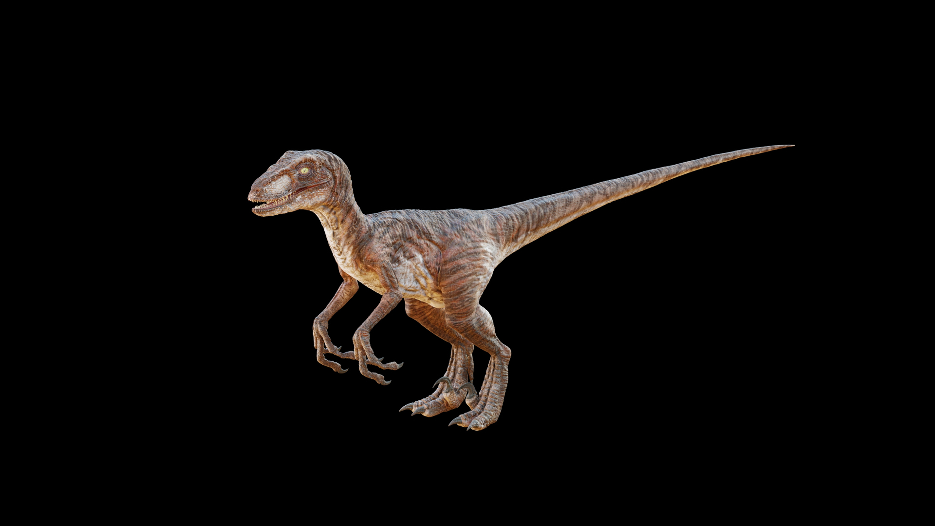 Realistic Raptor 3D Model - TurboSquid 1245365