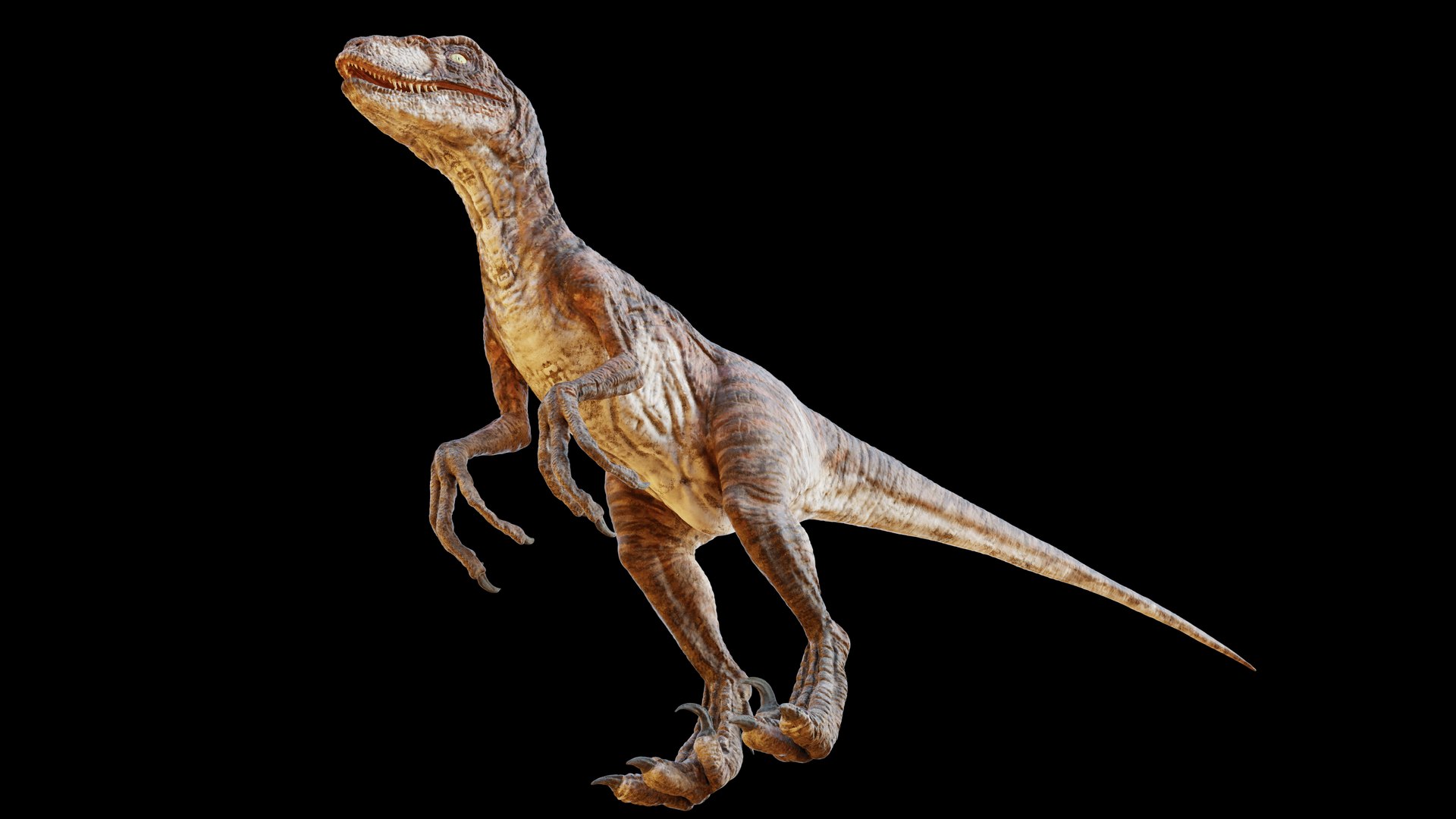 Realistic Raptor 3D Model - TurboSquid 1245365