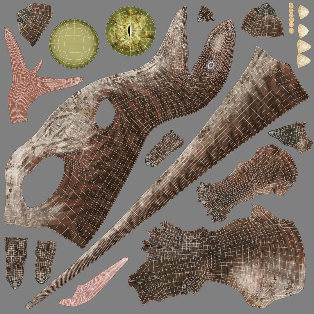 Realistic Raptor 3D Model - TurboSquid 1245365