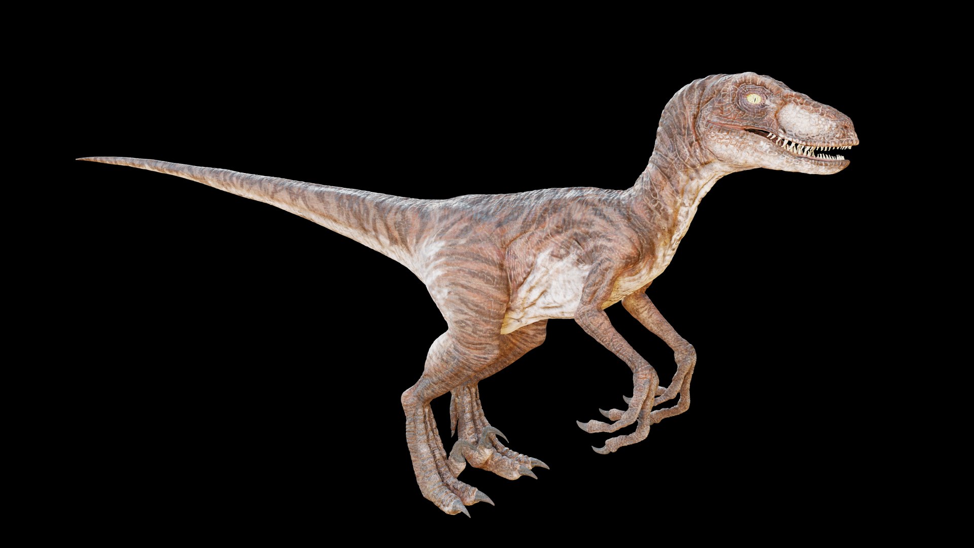 Realistic Raptor 3D Model - TurboSquid 1245365