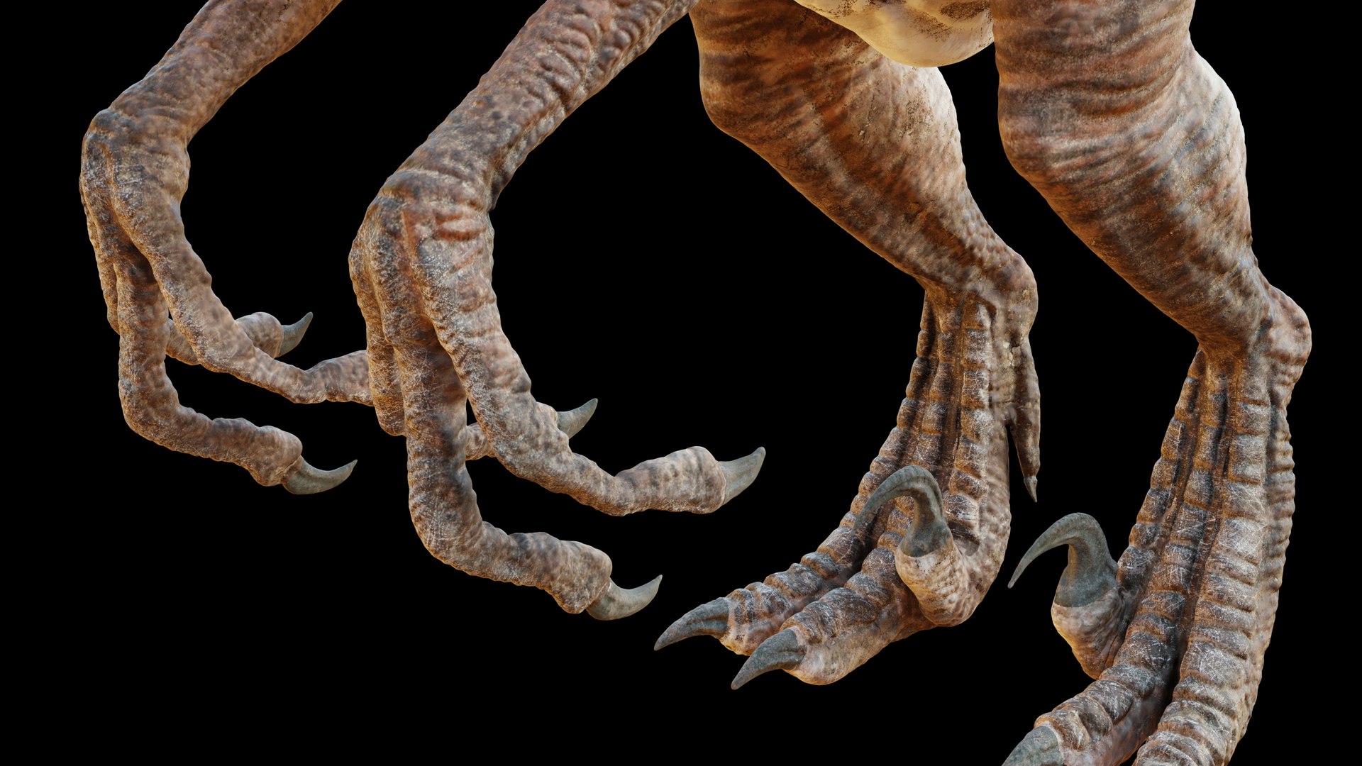 Realistic Raptor 3D Model - TurboSquid 1245365