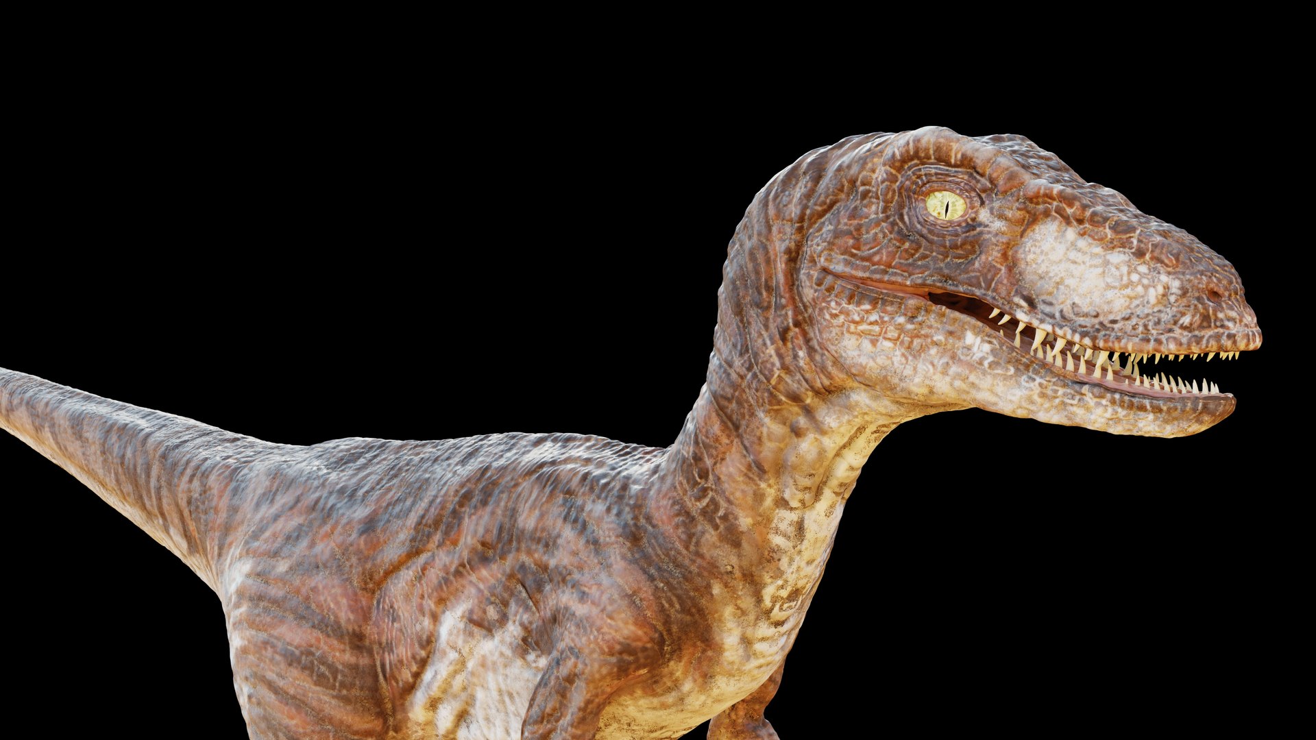 Realistic Raptor 3D Model - TurboSquid 1245365