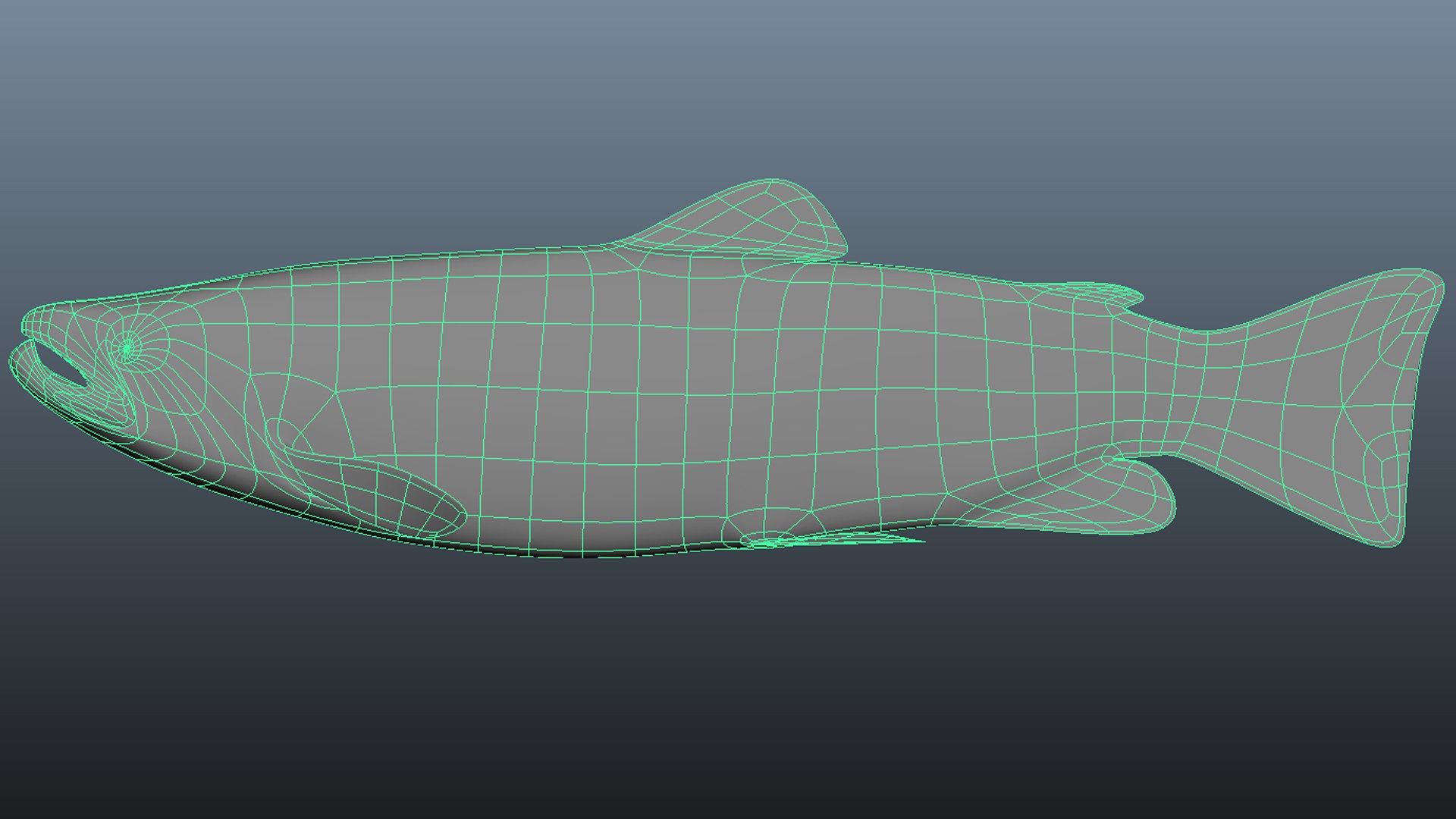 Trout Collection 3D - TurboSquid 1810793