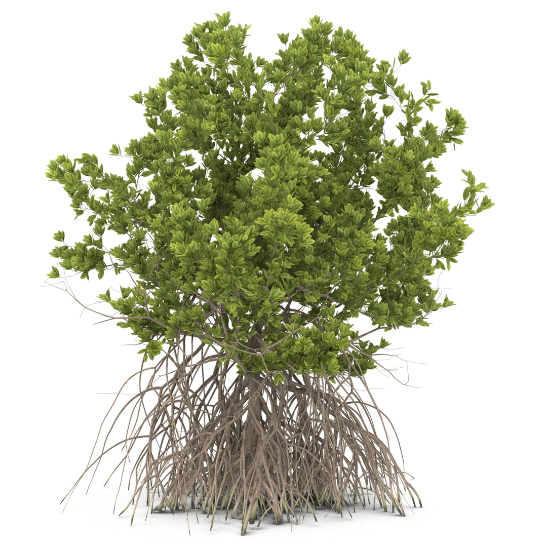 3ds max mangrove tree