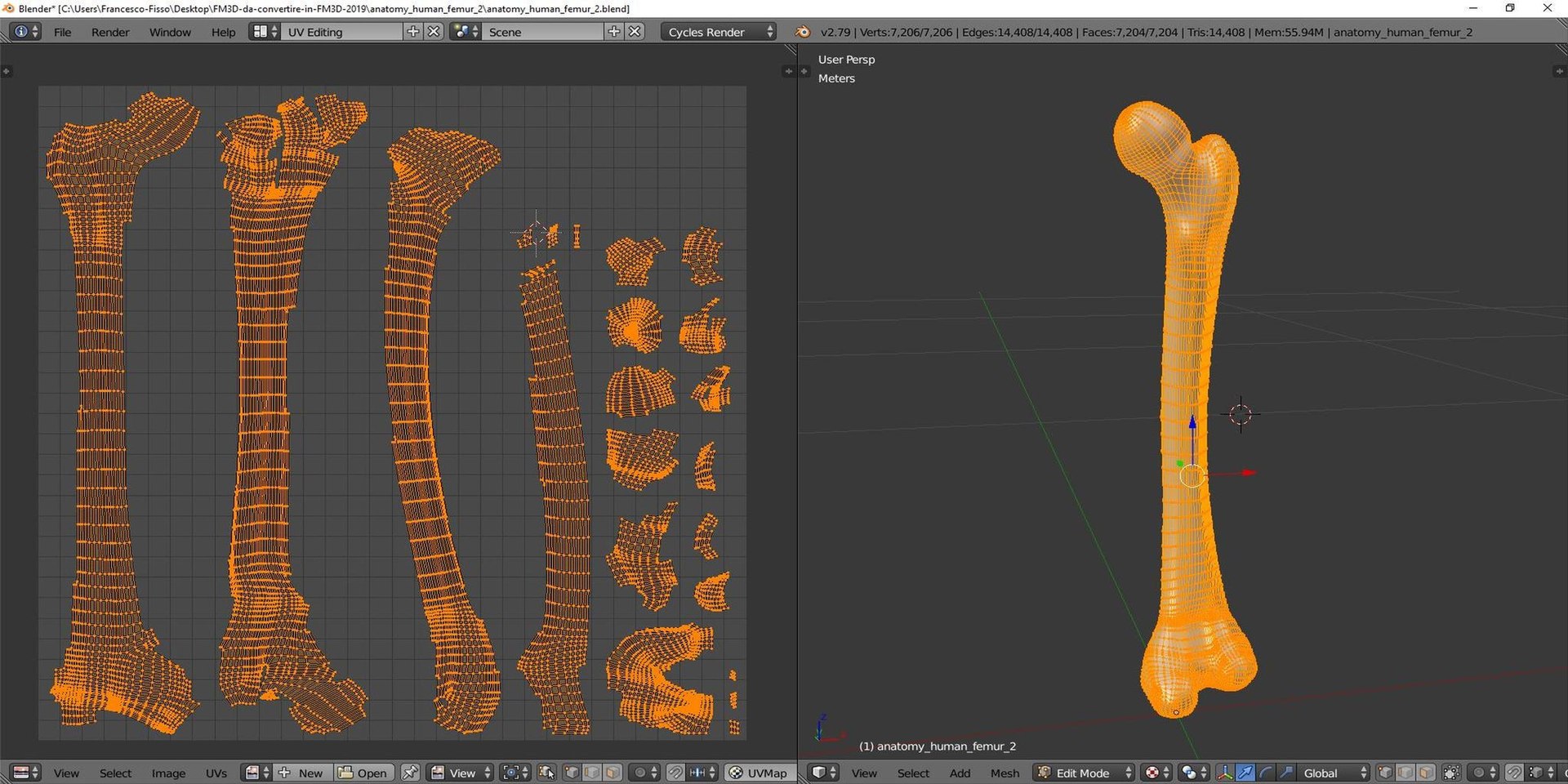 Human Femur 2 3D Model - TurboSquid 1174531