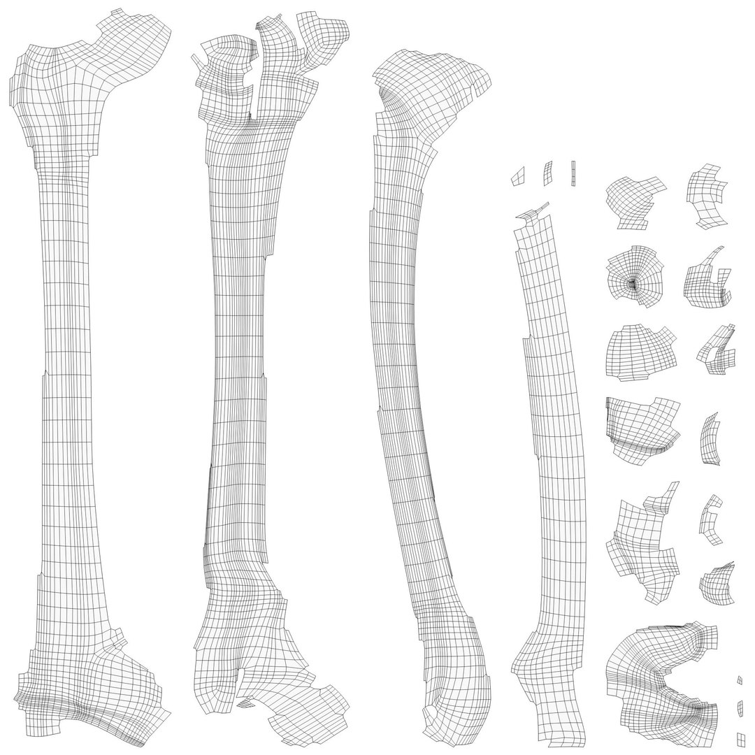Human Femur 2 3D Model - TurboSquid 1174531
