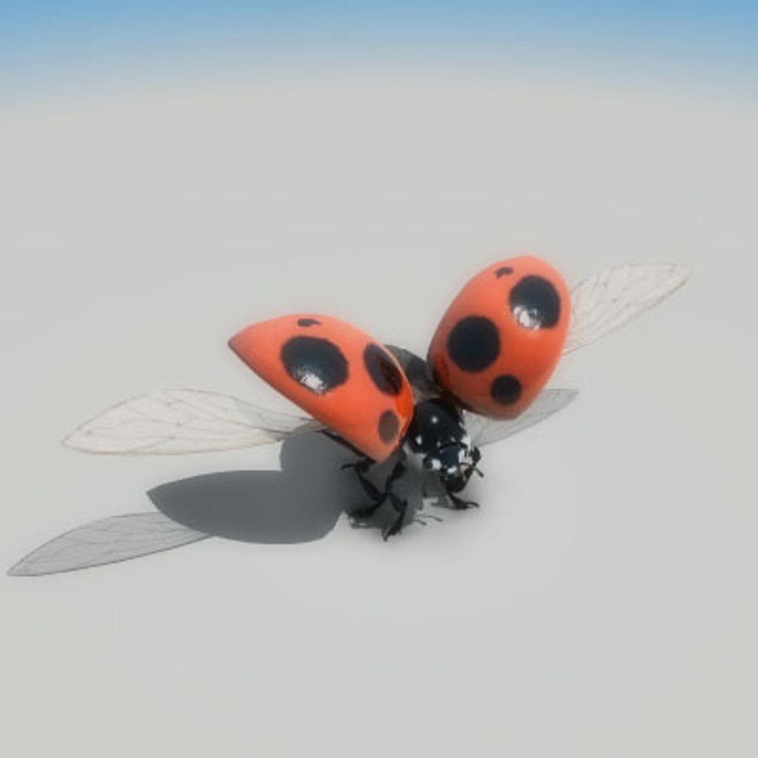3d ladybug bug