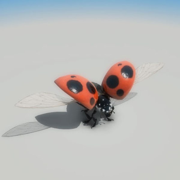 3d ladybug bug