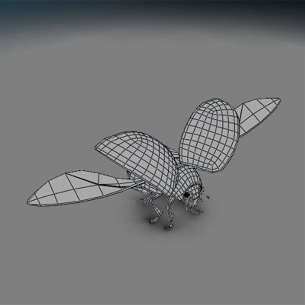 3d ladybug bug
