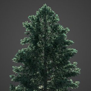 Free Blender Tree Models | TurboSquid