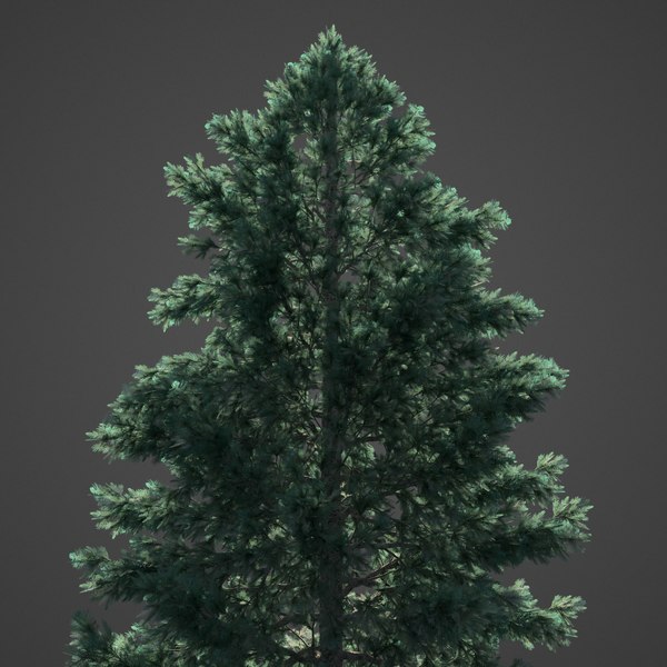 Free Blender Tree Models | TurboSquid