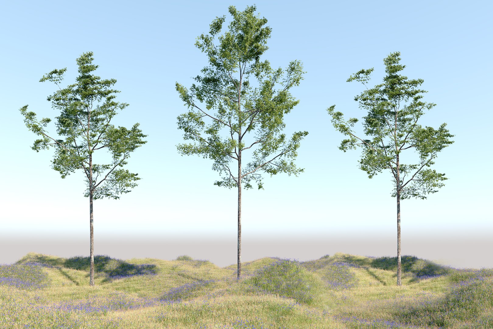 Tree Archviz 3D - TurboSquid 1241513