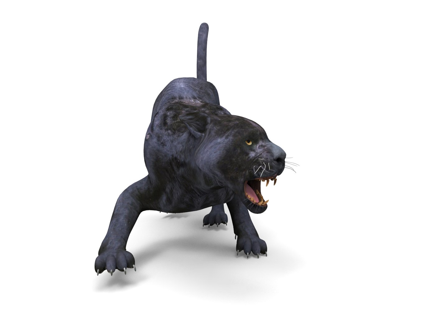 3D panther rigged animation model - TurboSquid 1289582
