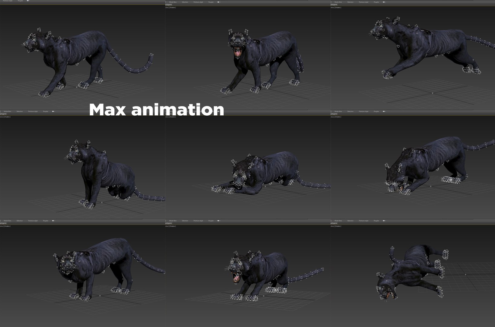 3D panther rigged animation model - TurboSquid 1289582