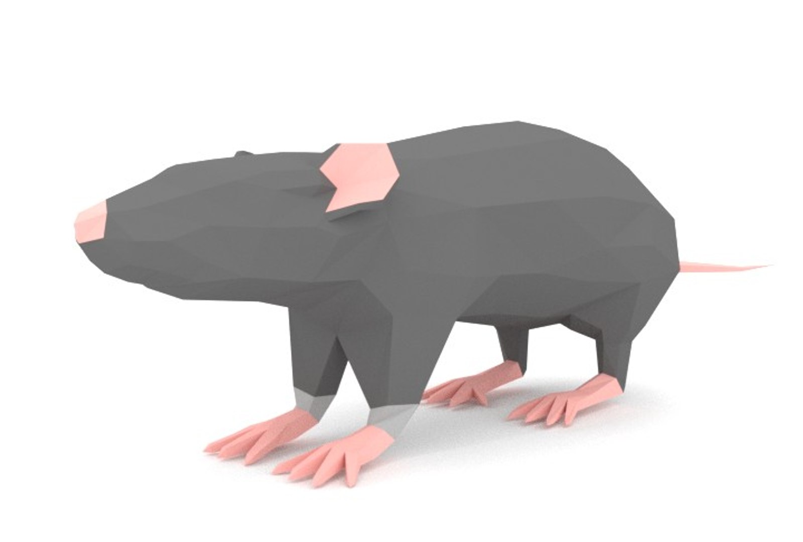 3d model blender rat